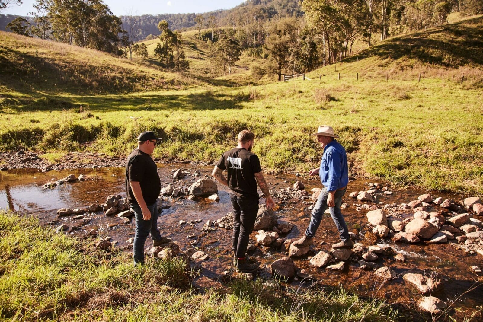 Learn about our Macka's Beef | 6HEAD